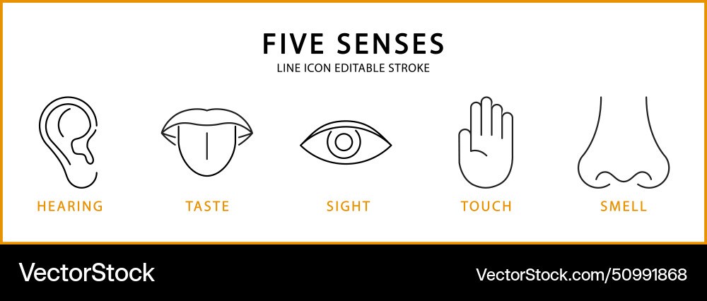 Five senses icon set Royalty Free Vector Image
