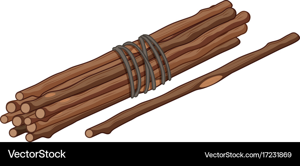 Bundle of Sticks Royalty Free Vector Image - VectorStock