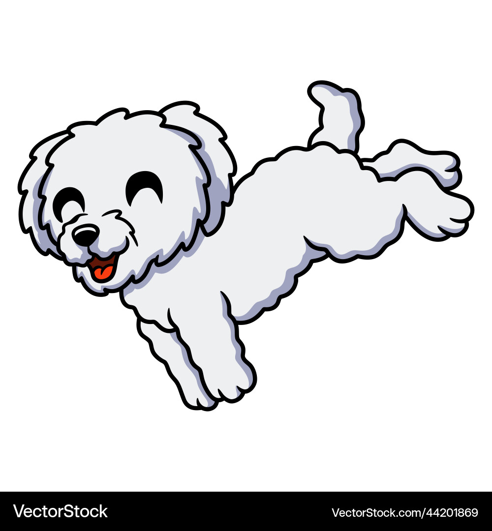 Cute bichon frise cartoon jumping Royalty Free Vector Image