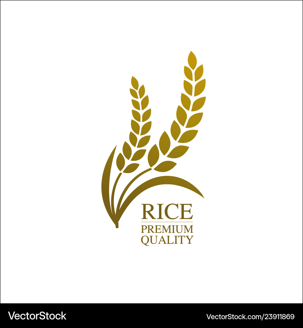 Premium rice great quality design concept Vector Image