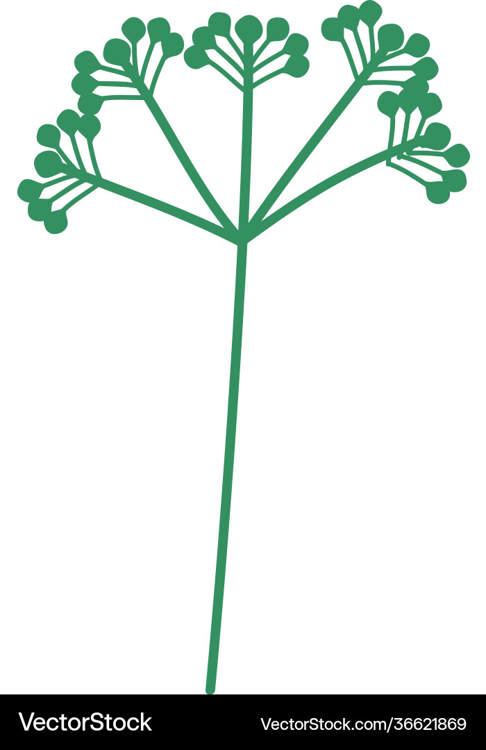 Stem with sprouted Royalty Free Vector Image - VectorStock