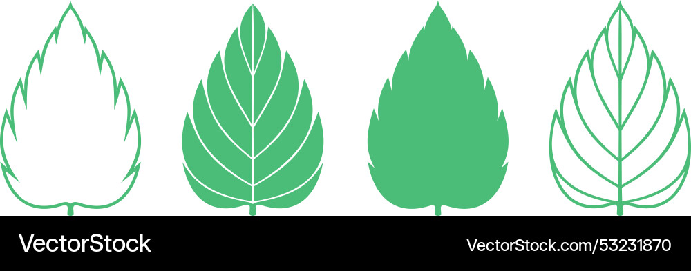 Mint Royalty Free Vector Image - VectorStock