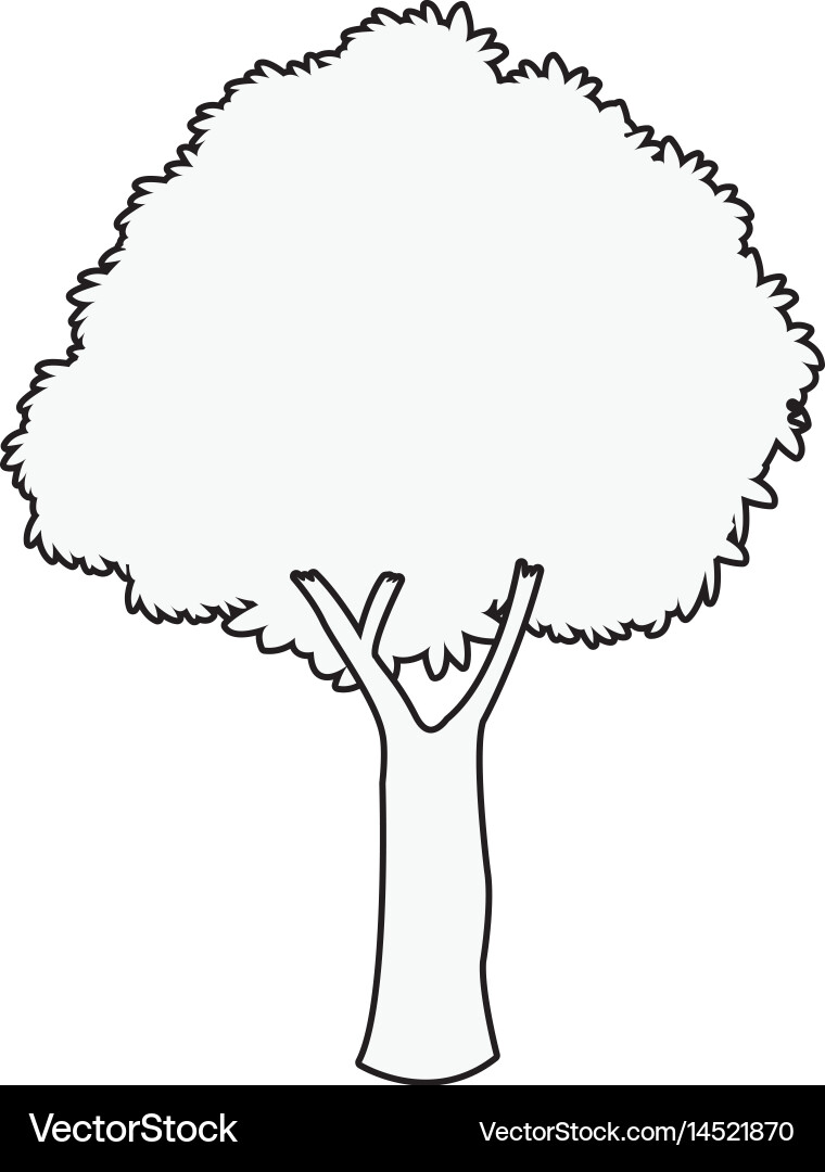 Simple Oak Tree Outline Royalty Free Vector Image