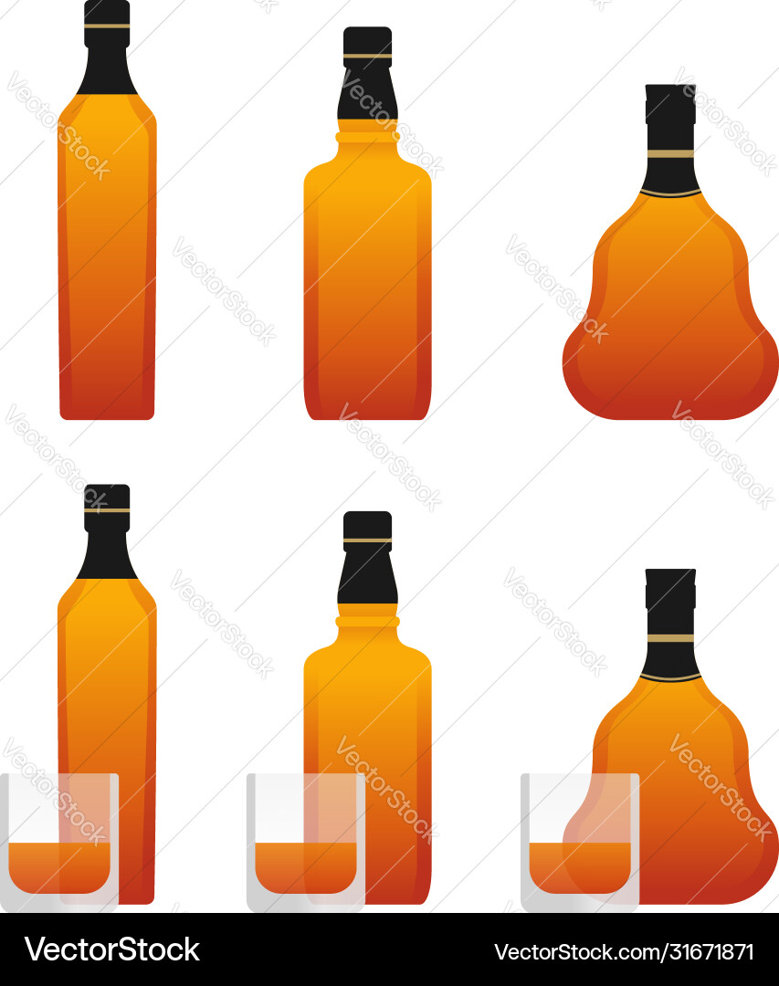 Different whisky bottles Royalty Free Vector Image