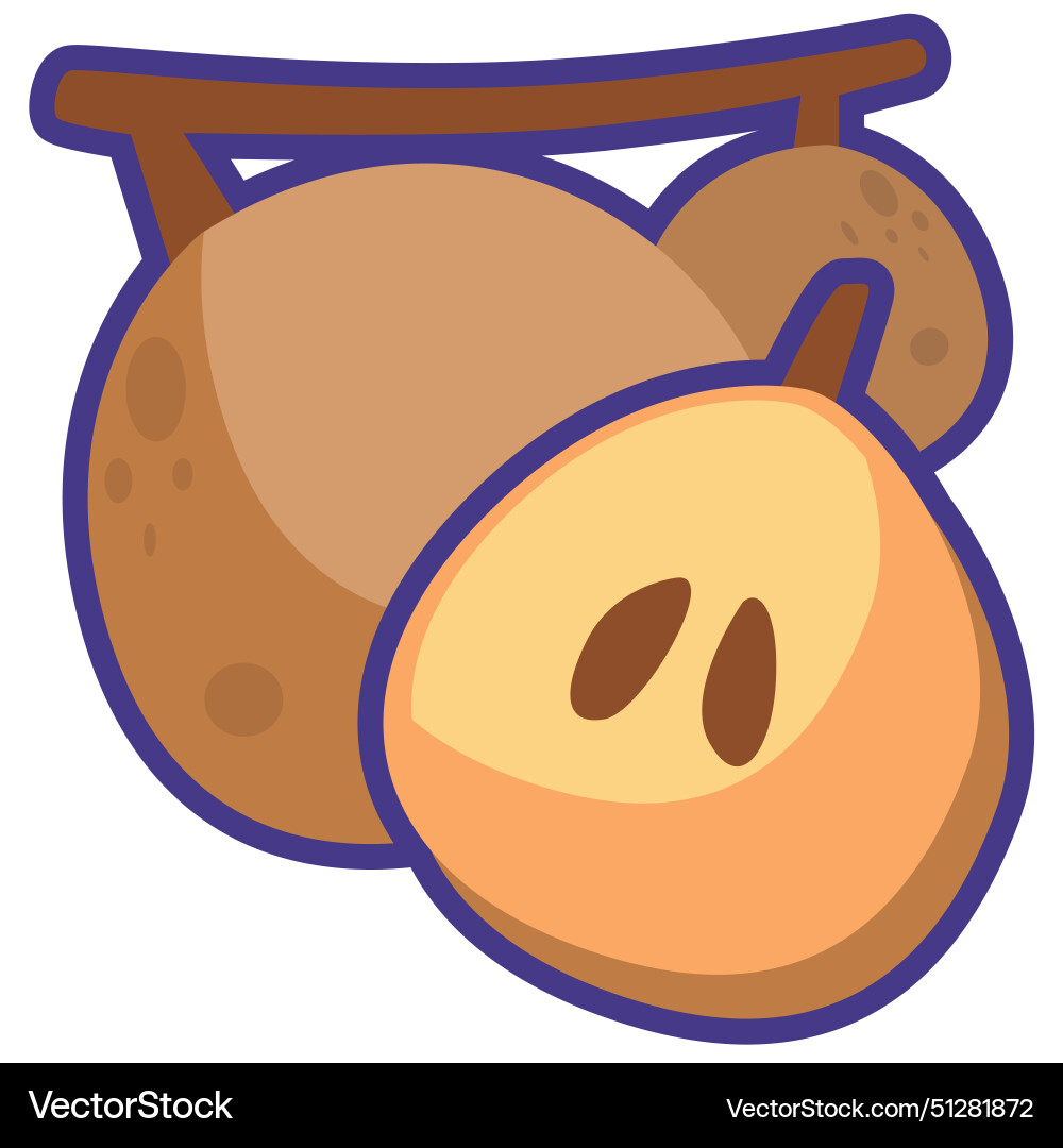 Cartoon sapodilla fruit image whole sawo Vector Image