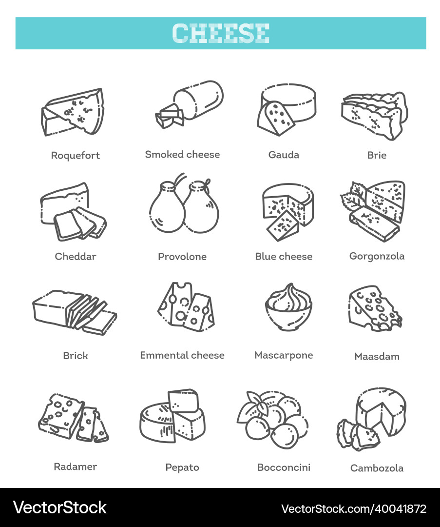 Cheese types Royalty Free Vector Image - VectorStock