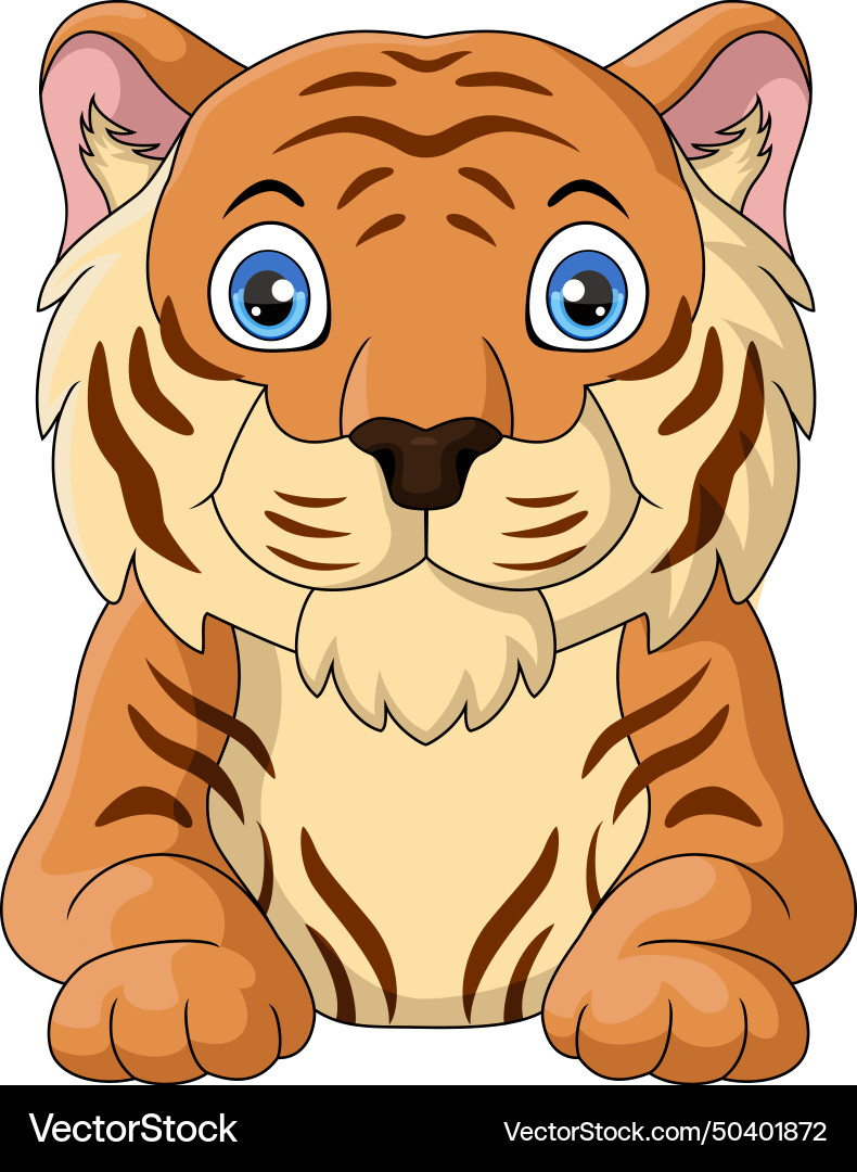 Cute tiger cartoon on white background Royalty Free Vector