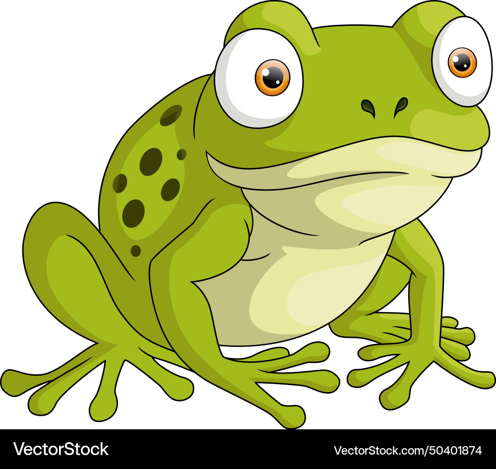 Cute frog cartoon on white background Royalty Free Vector