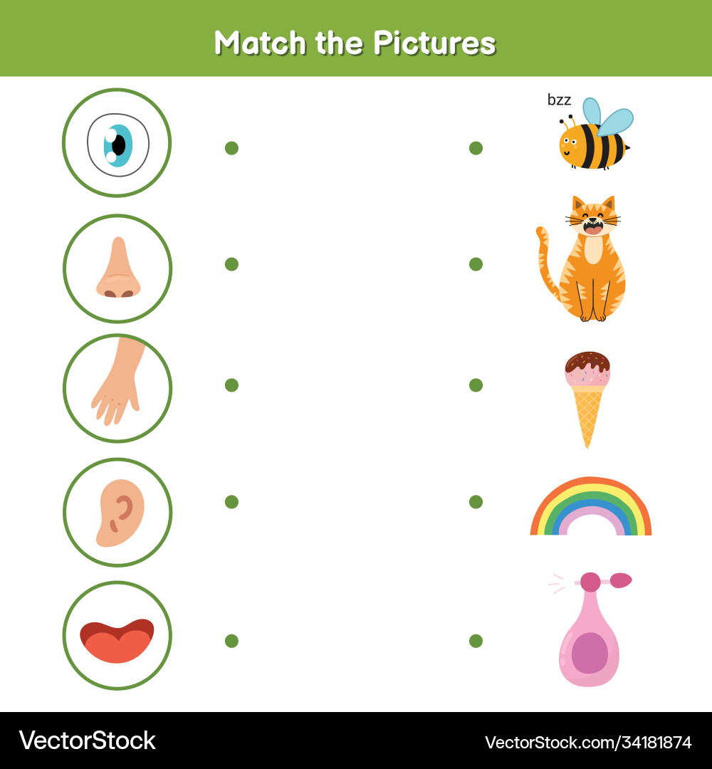 Five senses matching game for kids sight touch Vector Image