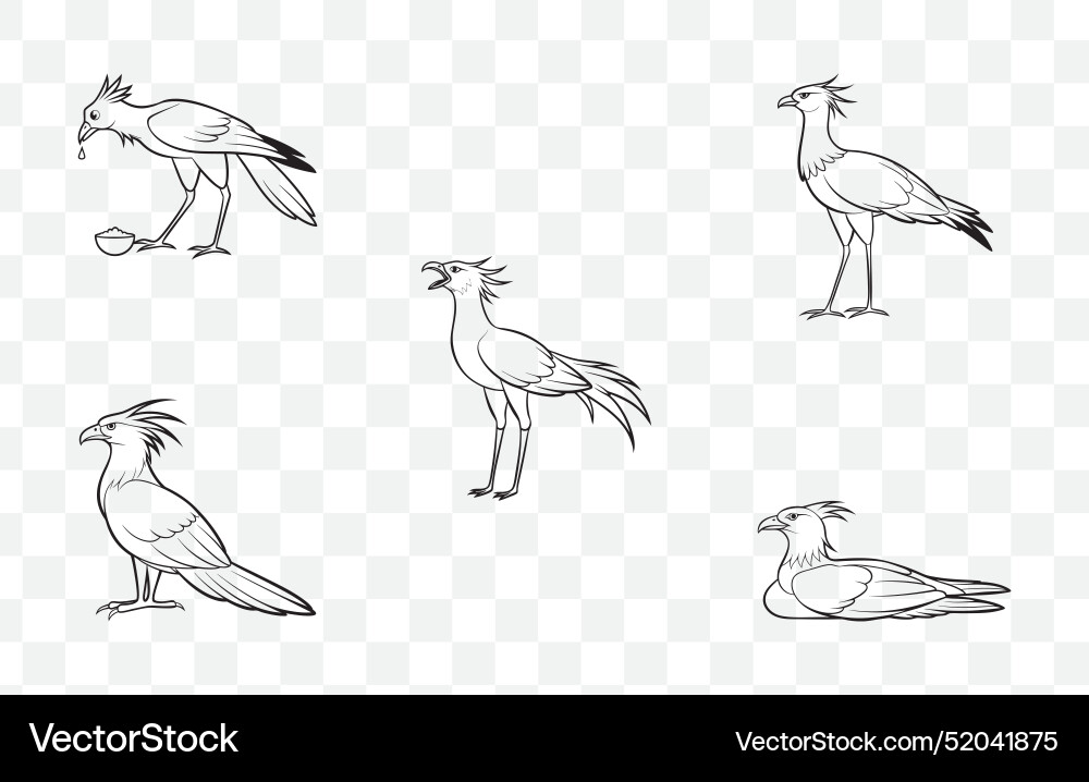 Print elegant secretary bird line art Royalty Free Vector