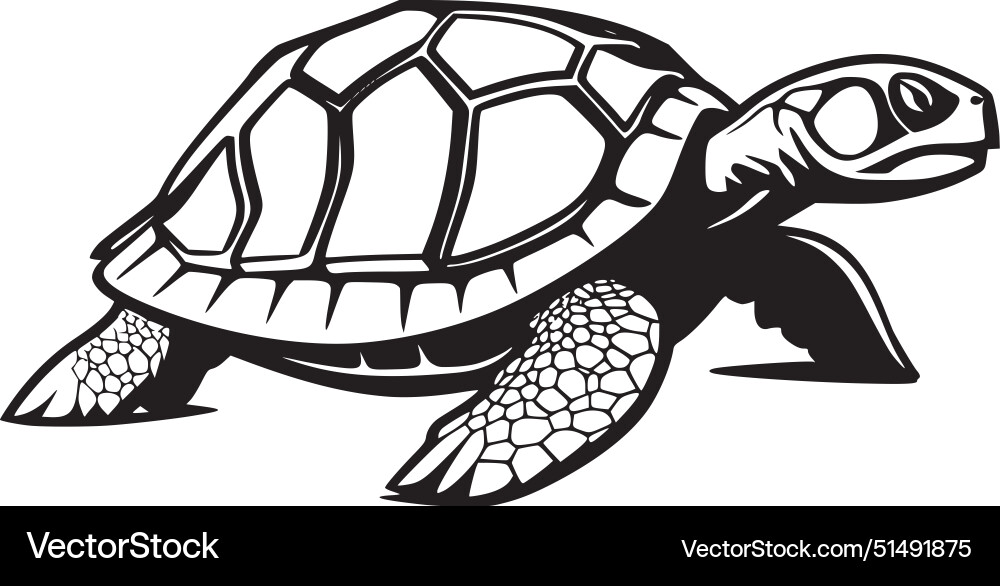 Turtle - black and white Royalty Free Vector Image