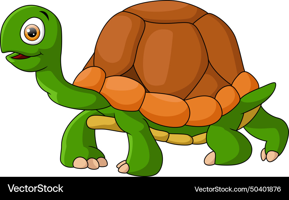Cute sea turtle cartoon on white background Vector Image