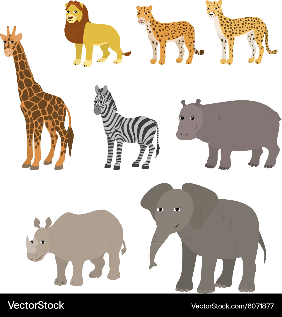 Cartoon set lion leopard cheetah giraffe zebra Vector Image