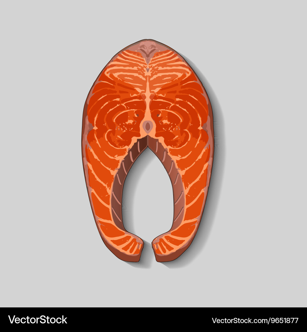 Salmon fish Royalty Free Vector Image - VectorStock