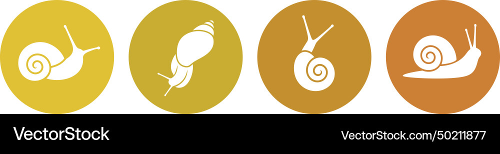 Snail Royalty Free Vector Image - VectorStock
