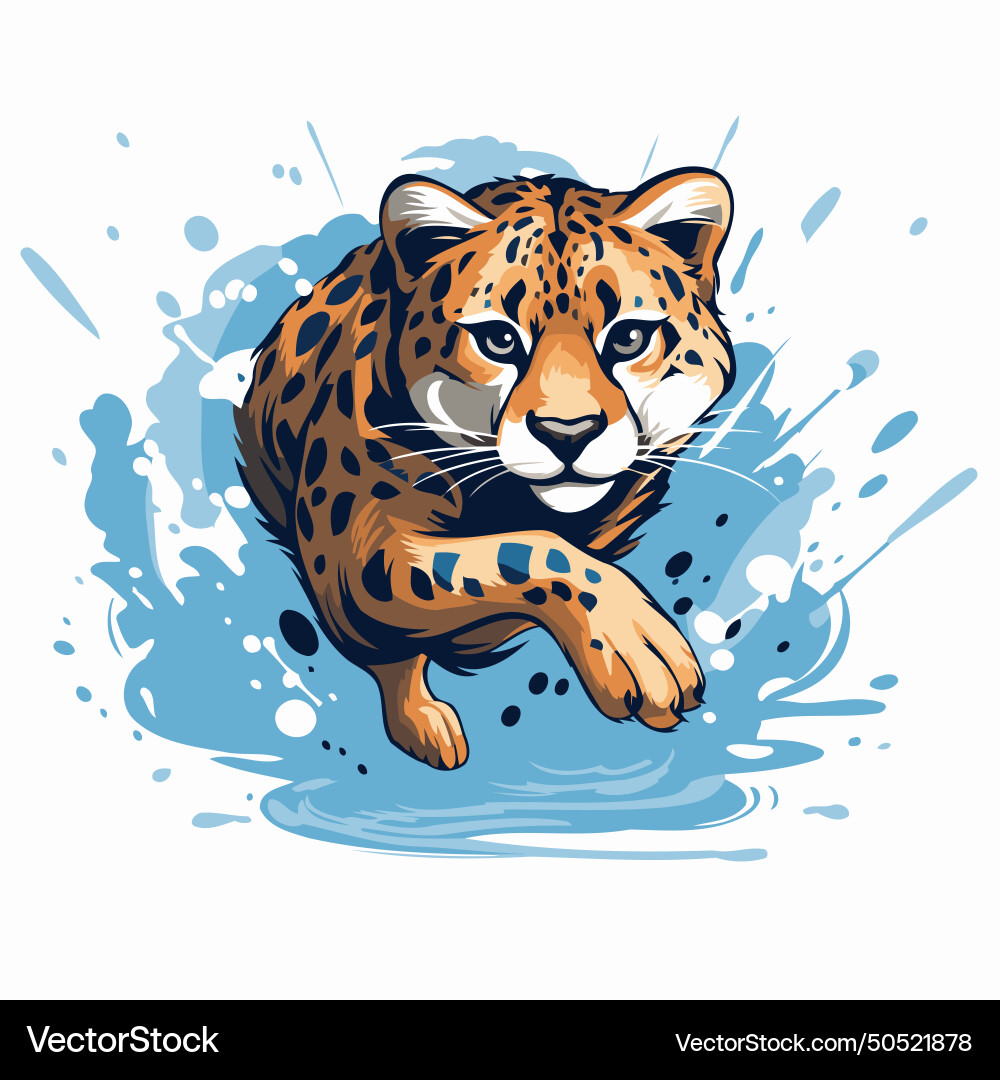 Cheetah of a on white background Royalty Free Vector Image