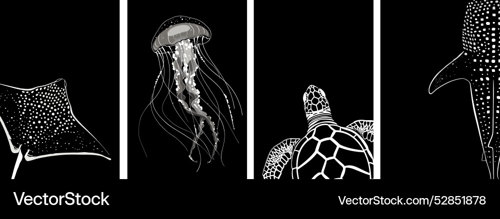 Marine animals posters print set sea turtle Vector Image