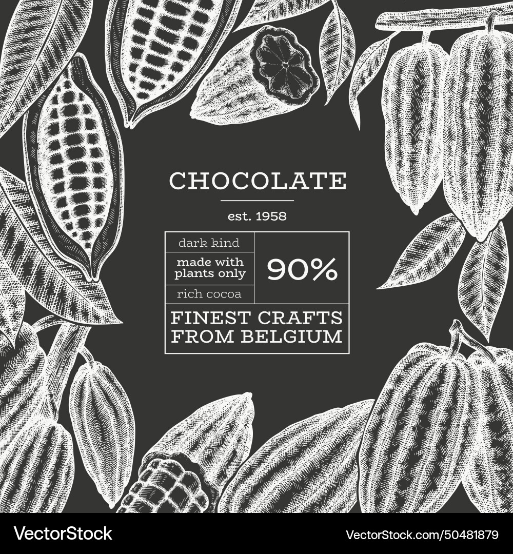 Cocoa design template chocolate beans Royalty Free Vector