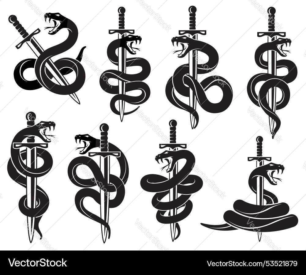 Snake and sword set Royalty Free Vector Image - VectorStock