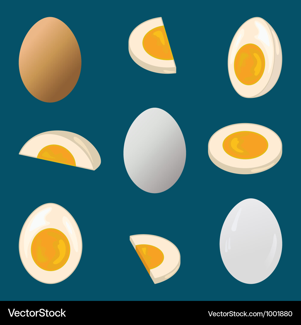 Sliced Hard-Boiled Egg Royalty Free Vector Image