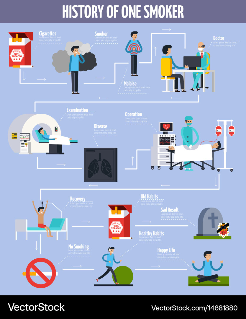 Smoking History & Health Risks Flowchart Vector Image