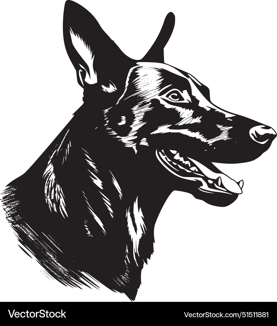 Australian kelpie - minimalist and simple Vector Image