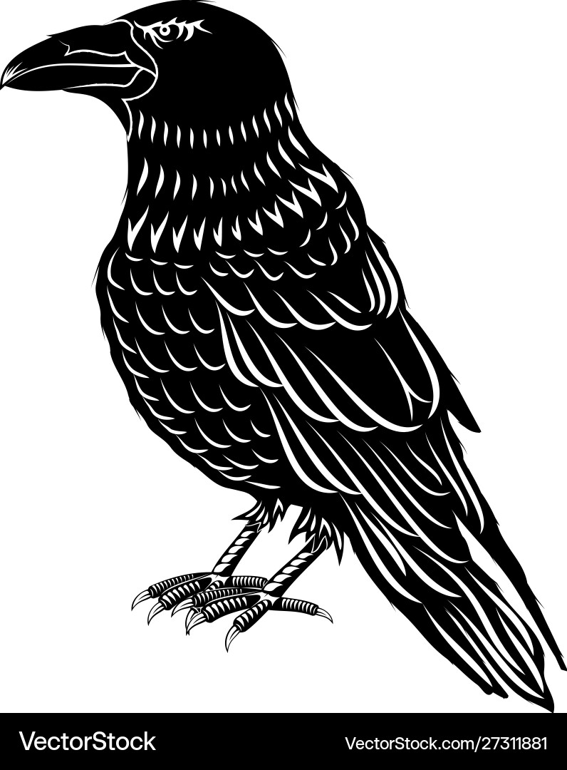 Black crow 0001 Royalty Free Vector Image - VectorStock