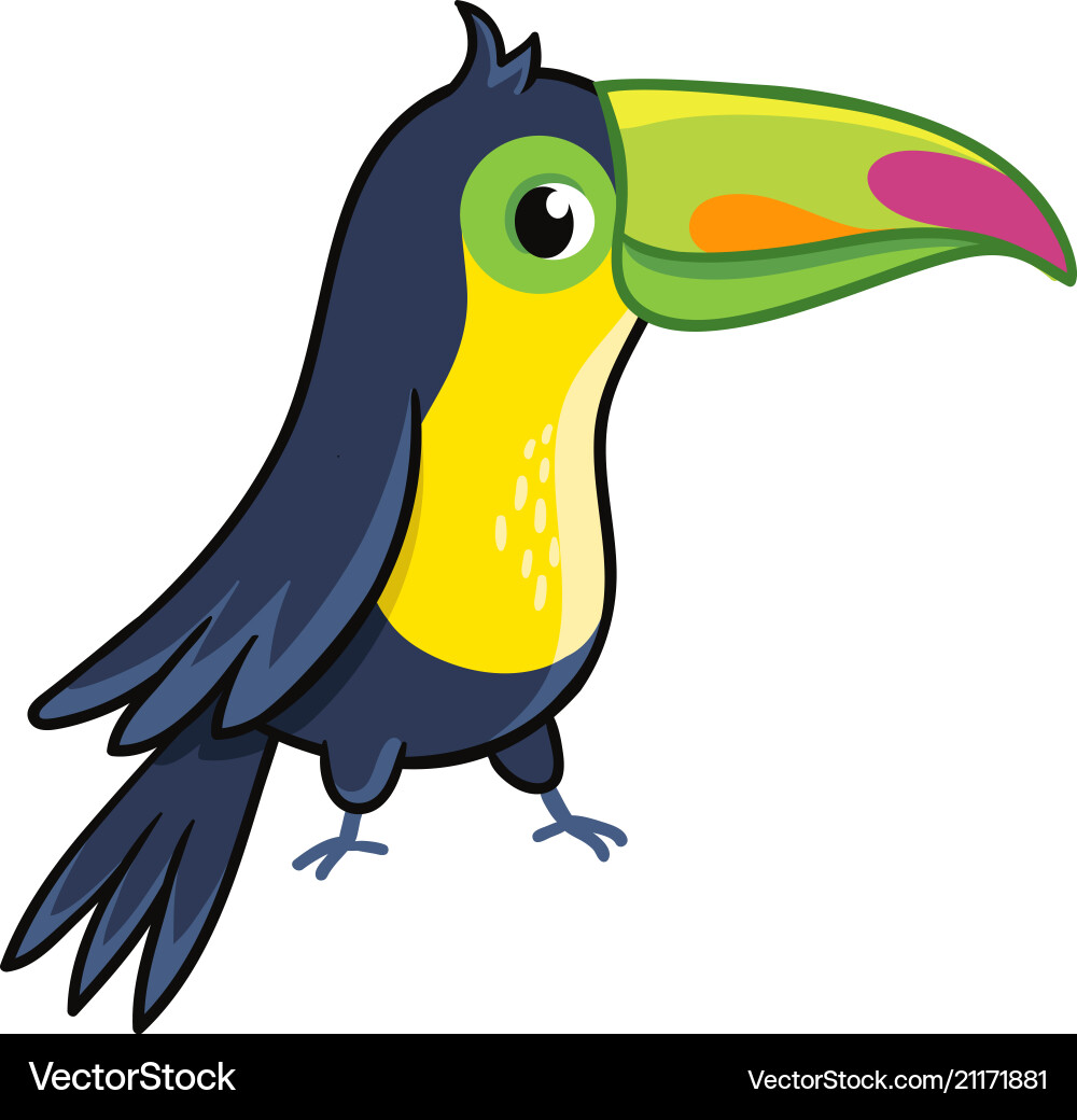 Cute toucan on white background Royalty Free Vector Image