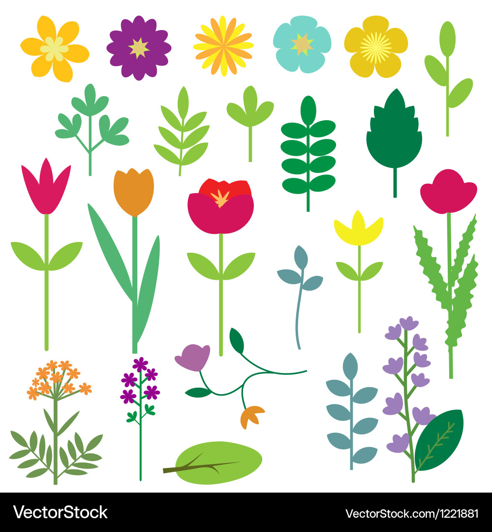 Flowers collection Royalty Free Vector Image - VectorStock