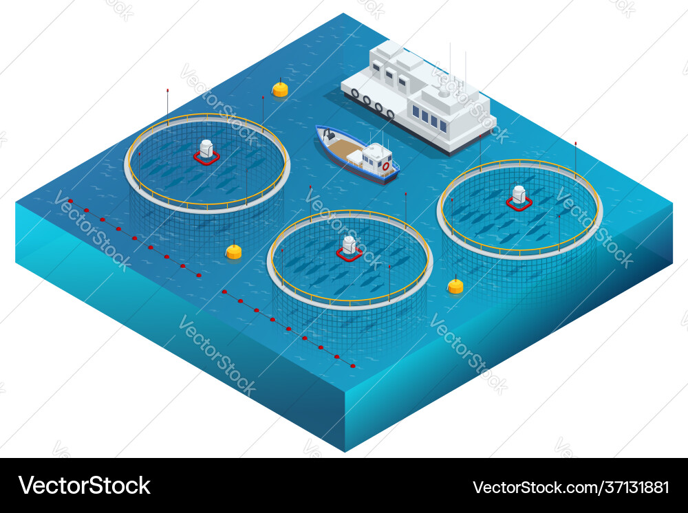 Isometric fish farm producing trout and salmon Vector Image