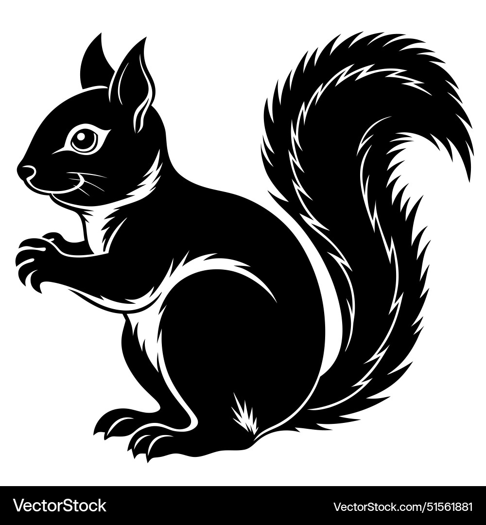 Squirrel black and white Royalty Free Vector Image