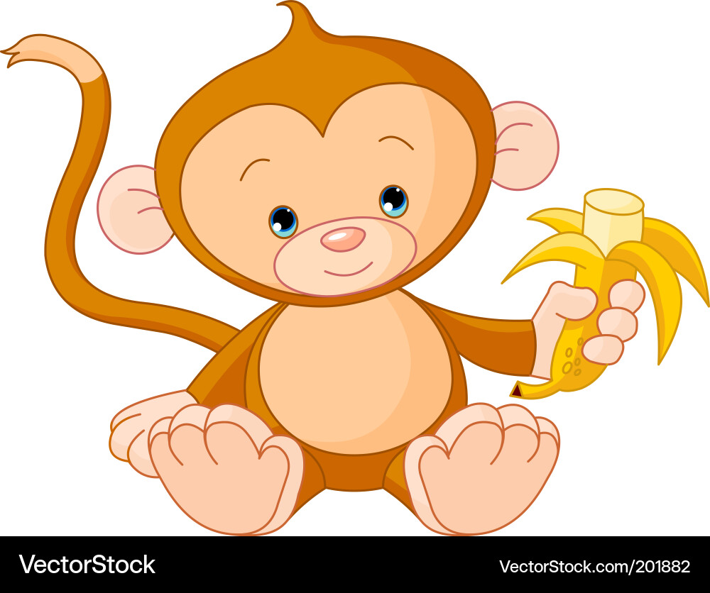 Baby monkey Royalty Free Vector Image - VectorStock