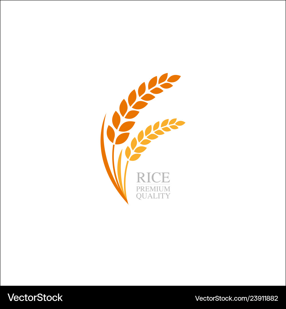 Premium rice great quality design concept Vector Image