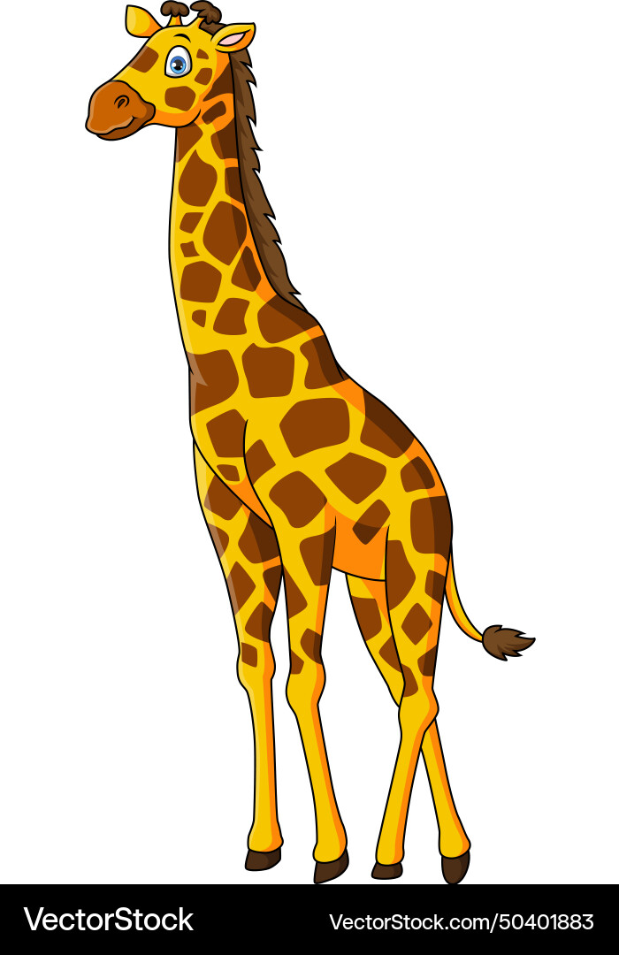 Cute giraffe cartoon on white background Vector Image