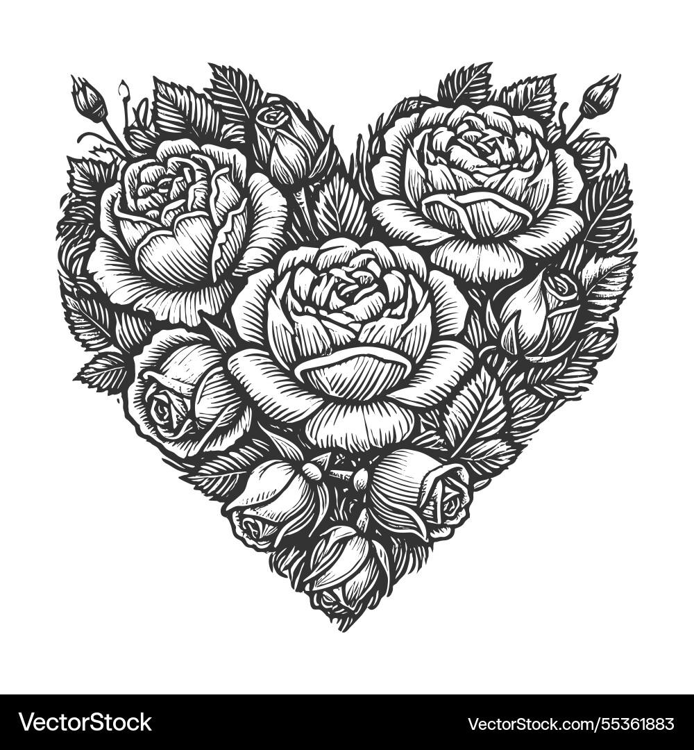 Heart-shaped floral design blooming roses Vector Image
