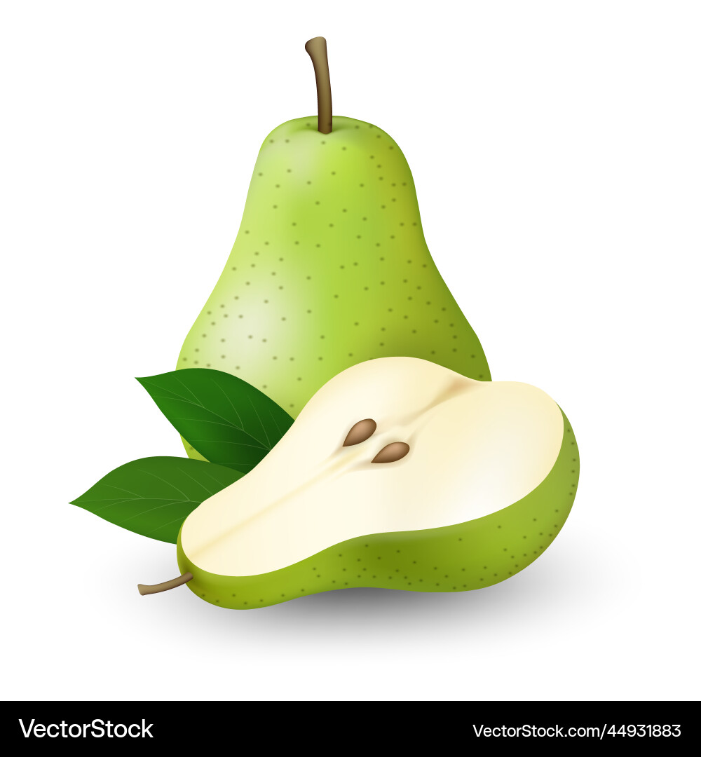 Pears half isolated Royalty Free Vector Image - VectorStock