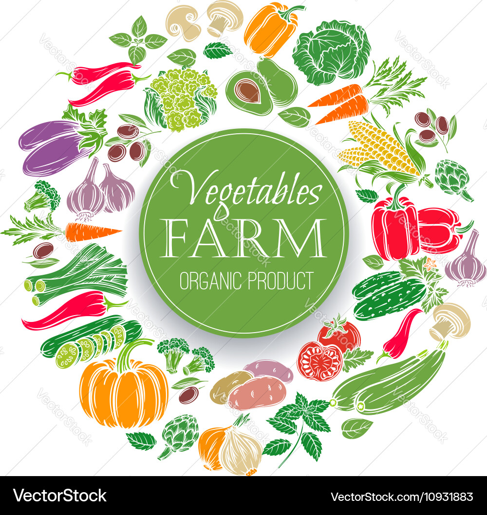 Vegetables design menu Royalty Free Vector Image