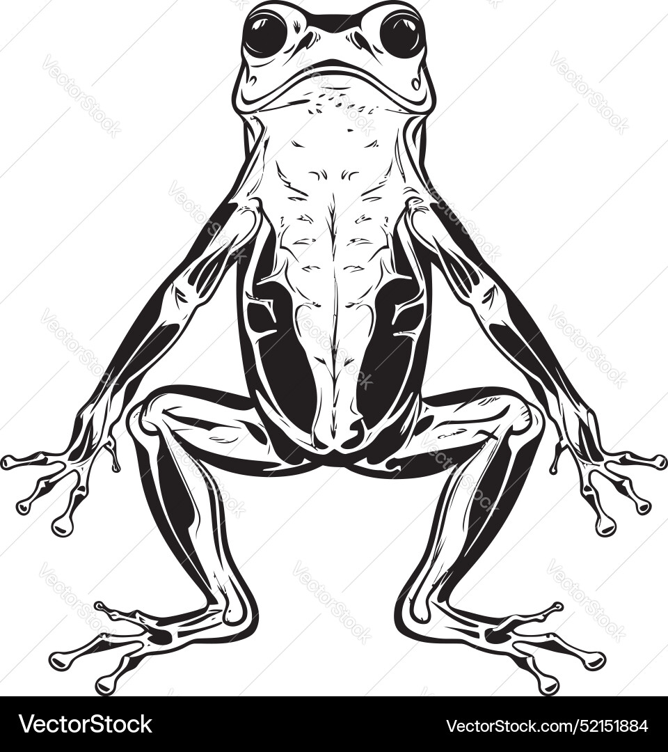 Bony bog frog skeleton logo icon phantom pond Vector Image