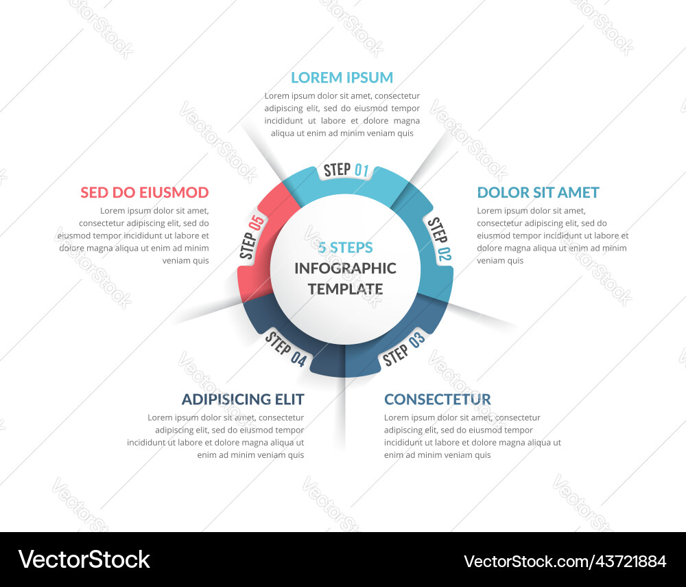 Circle infographics - five elements Royalty Free Vector
