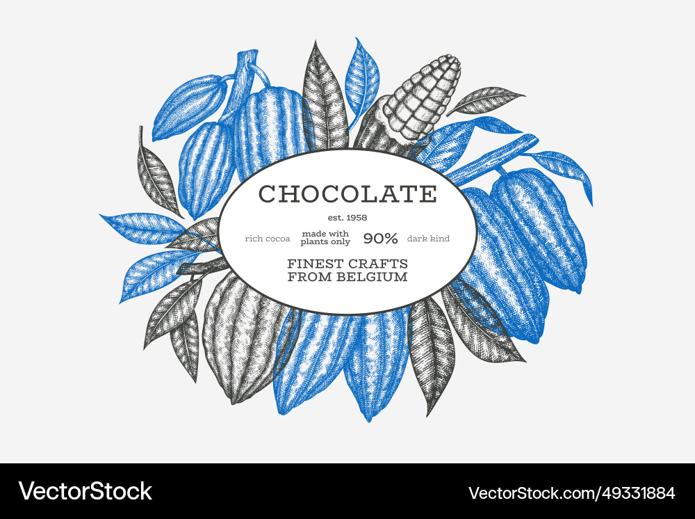 Cocoa banner template chocolate retro beans Vector Image