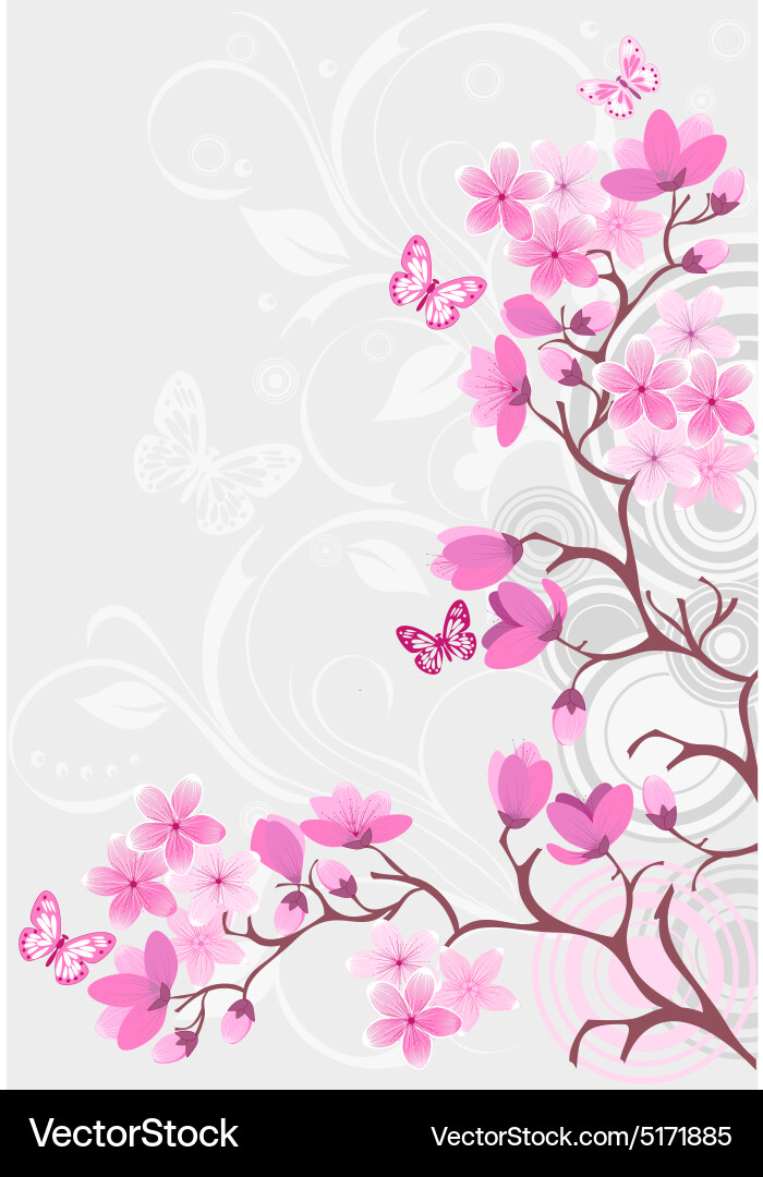 Cherry blossom background Royalty Free Vector Image