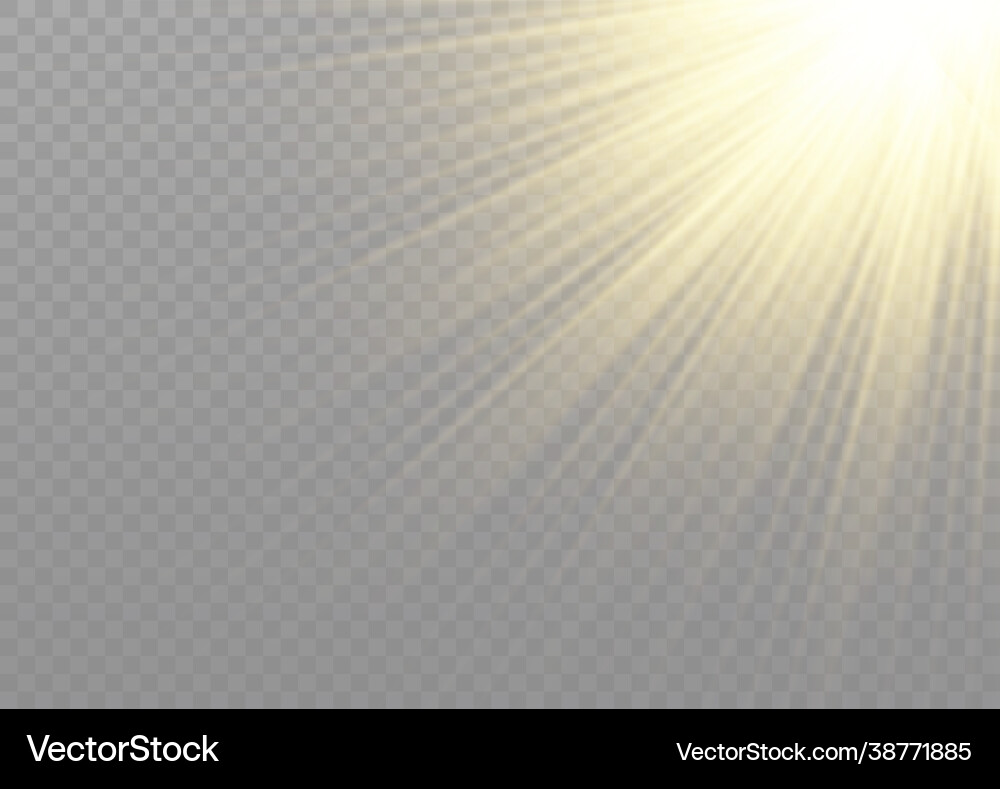 Sunlight lens flash light effect sun ray Vector Image