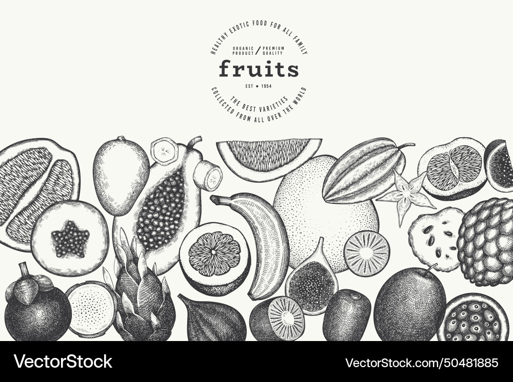 Tropical fruit design template hand drawn exotic Vector Image