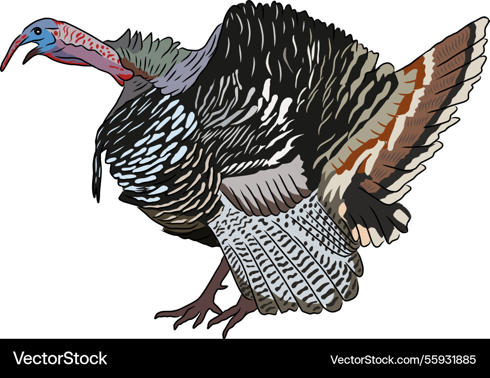 Turkey hunting logo image t sh Royalty Free Vector Image