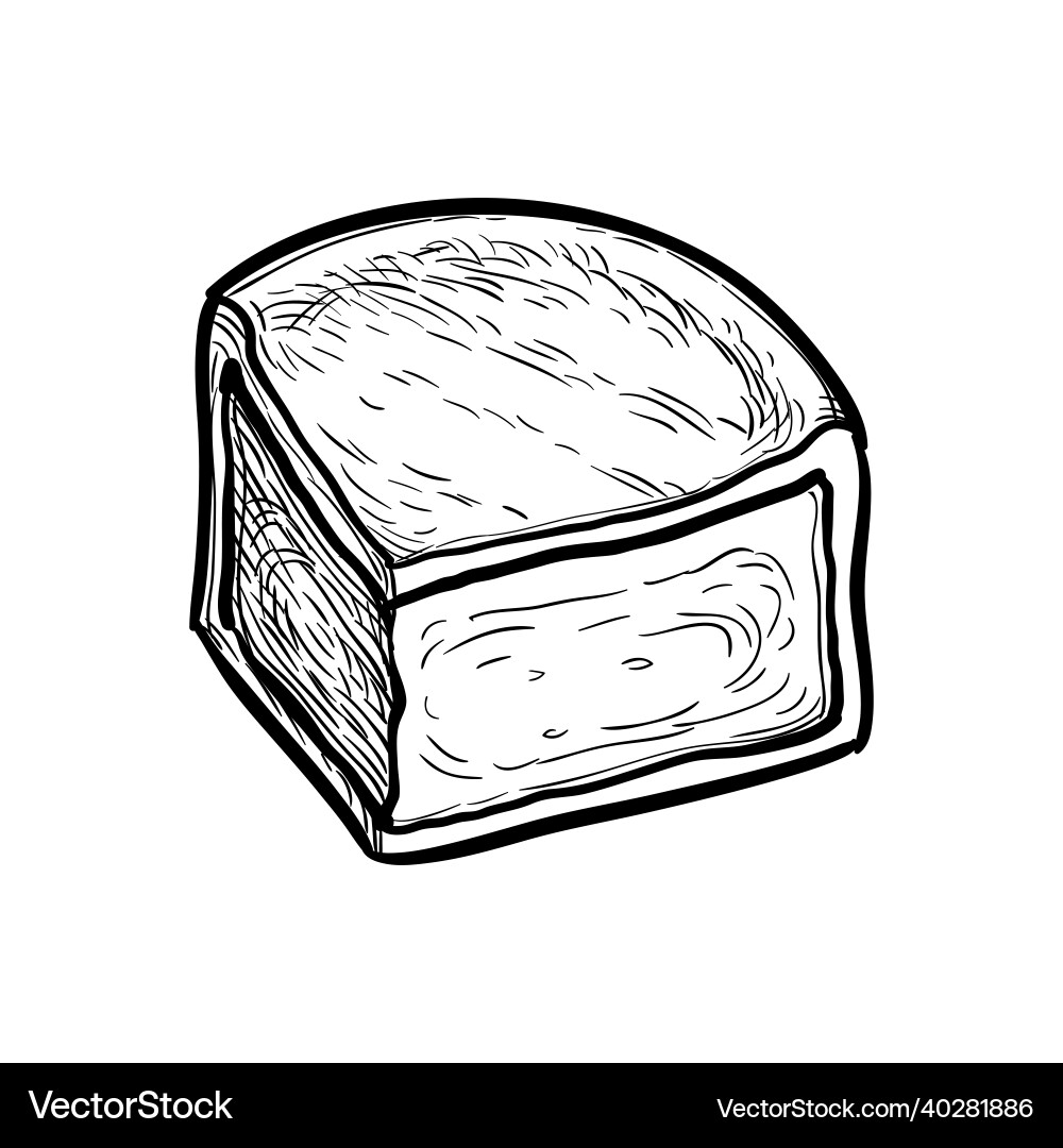Camembert cheese ink sketch Royalty Free Vector Image