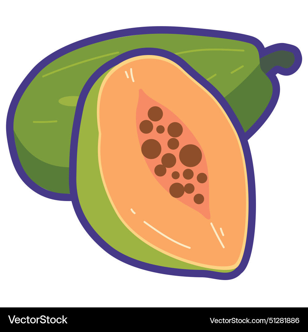 Papaya or pepaya fruit Royalty Free Vector Image