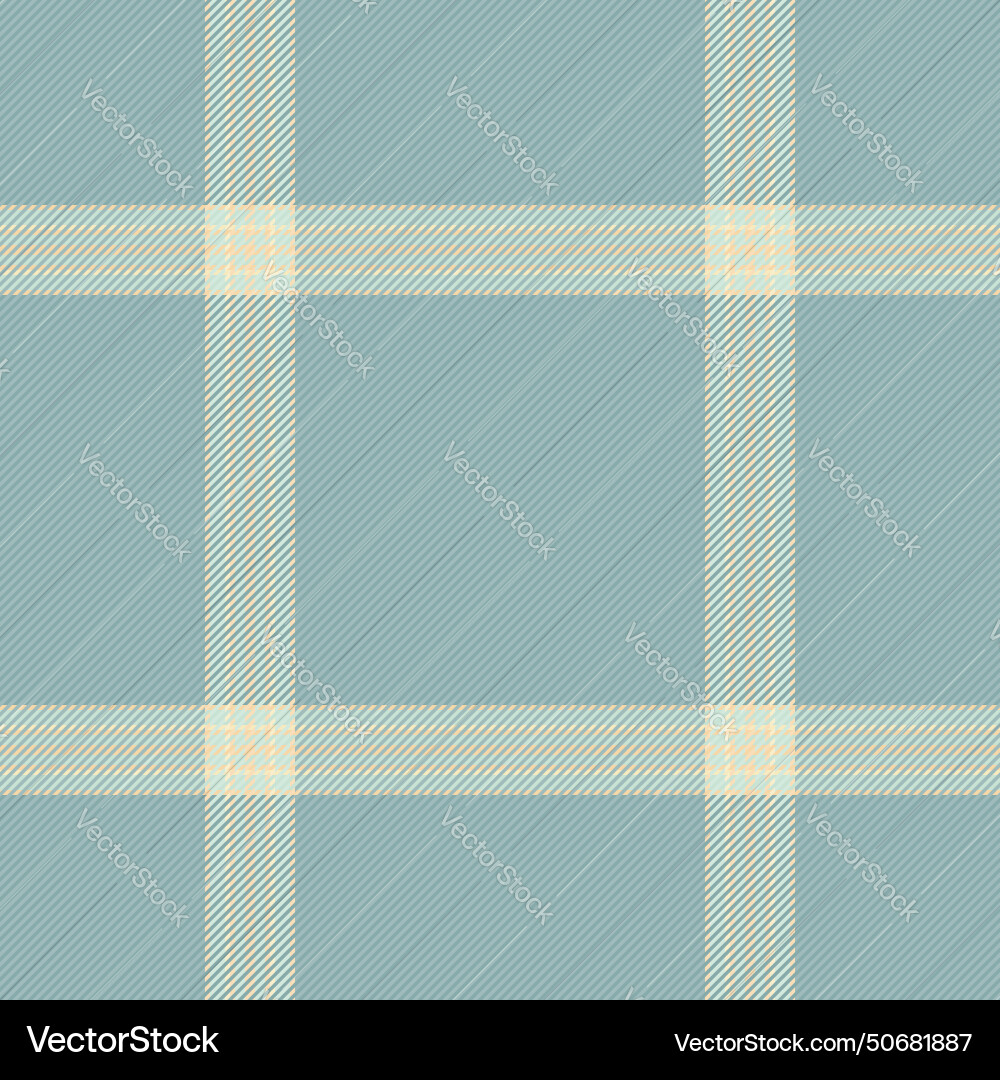 Bedding background texture check menu pattern Vector Image