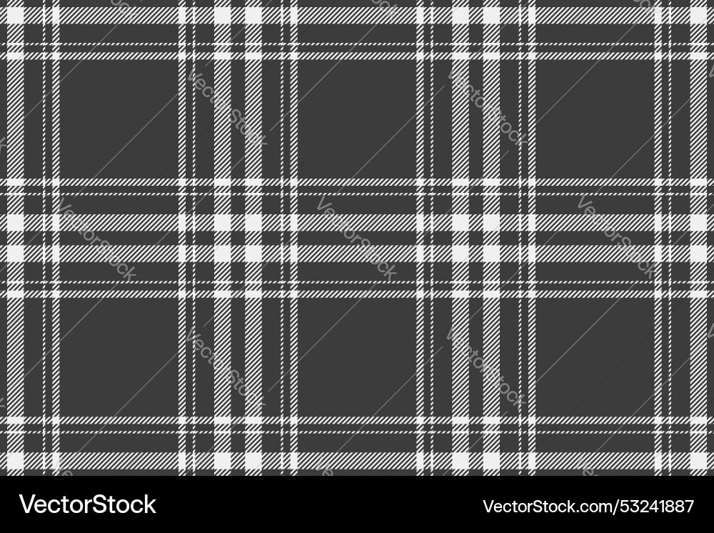 Stationary pattern plaid check screen tartan Vector Image