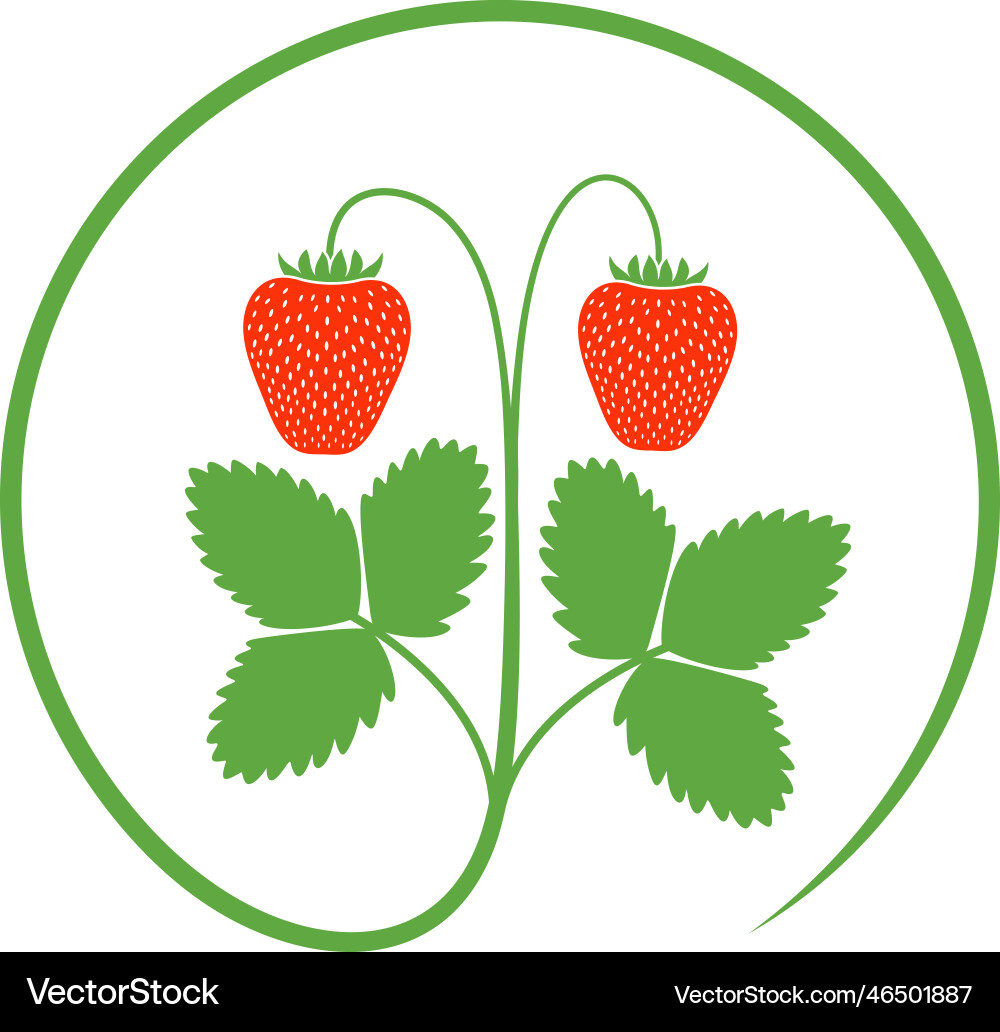 Strawberry Royalty Free Vector Image - VectorStock