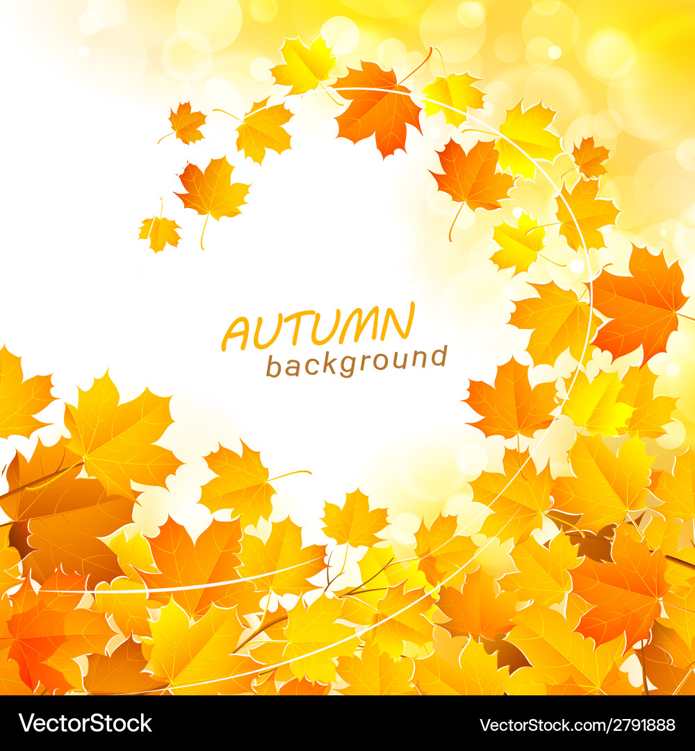 Autumn leaf fall background Royalty Free Vector Image